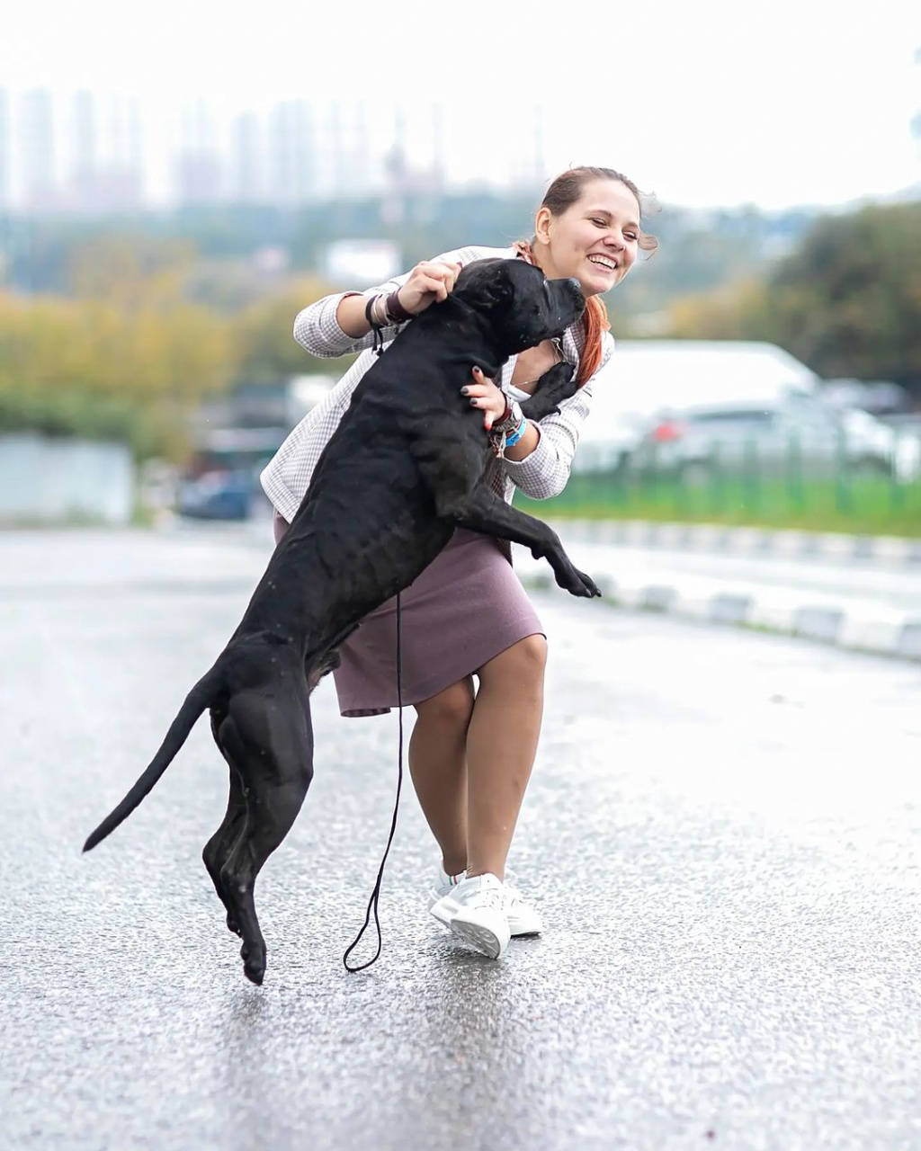 Pitbull Moscow - питомник питбулей